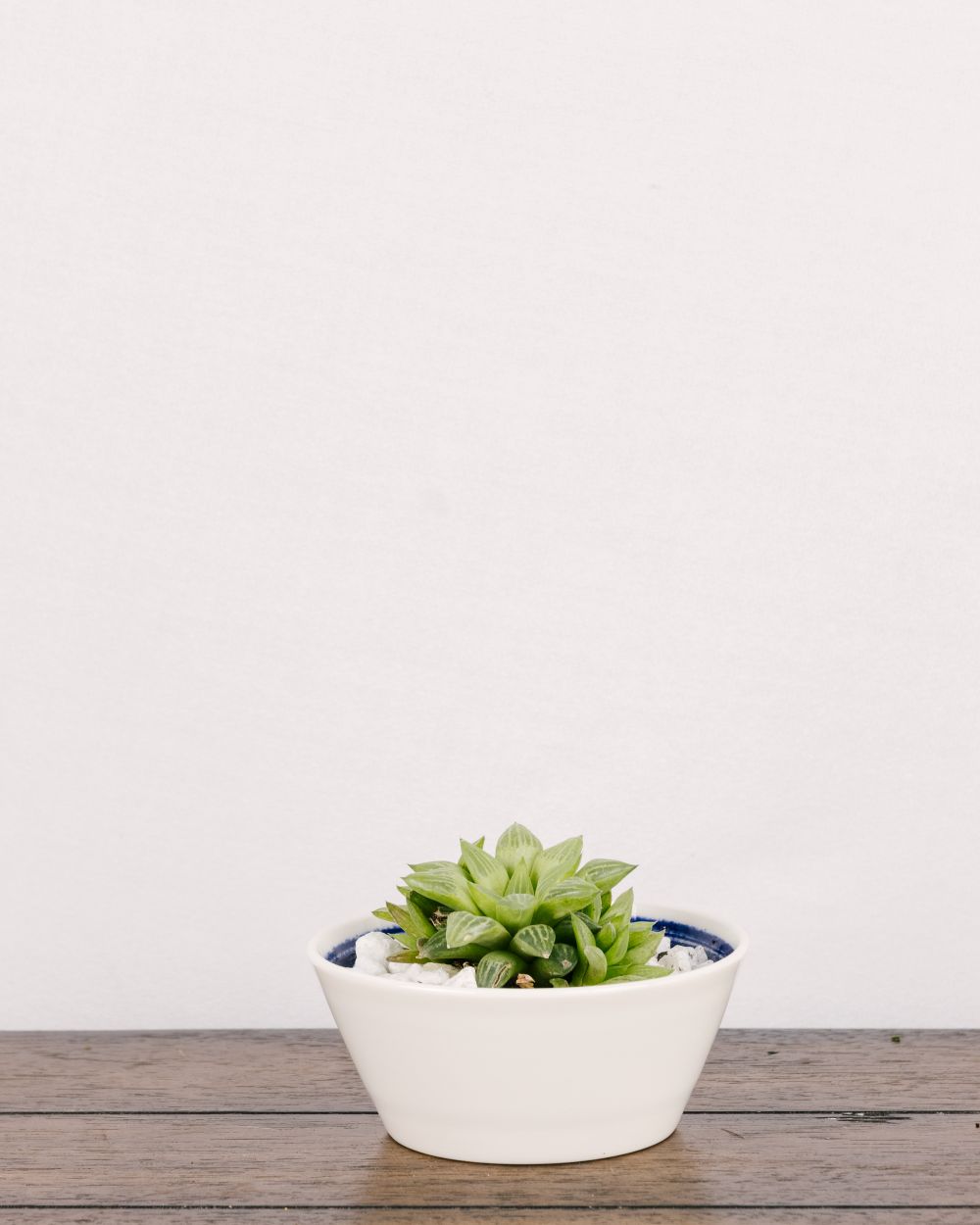 mini-succulent-planter-2